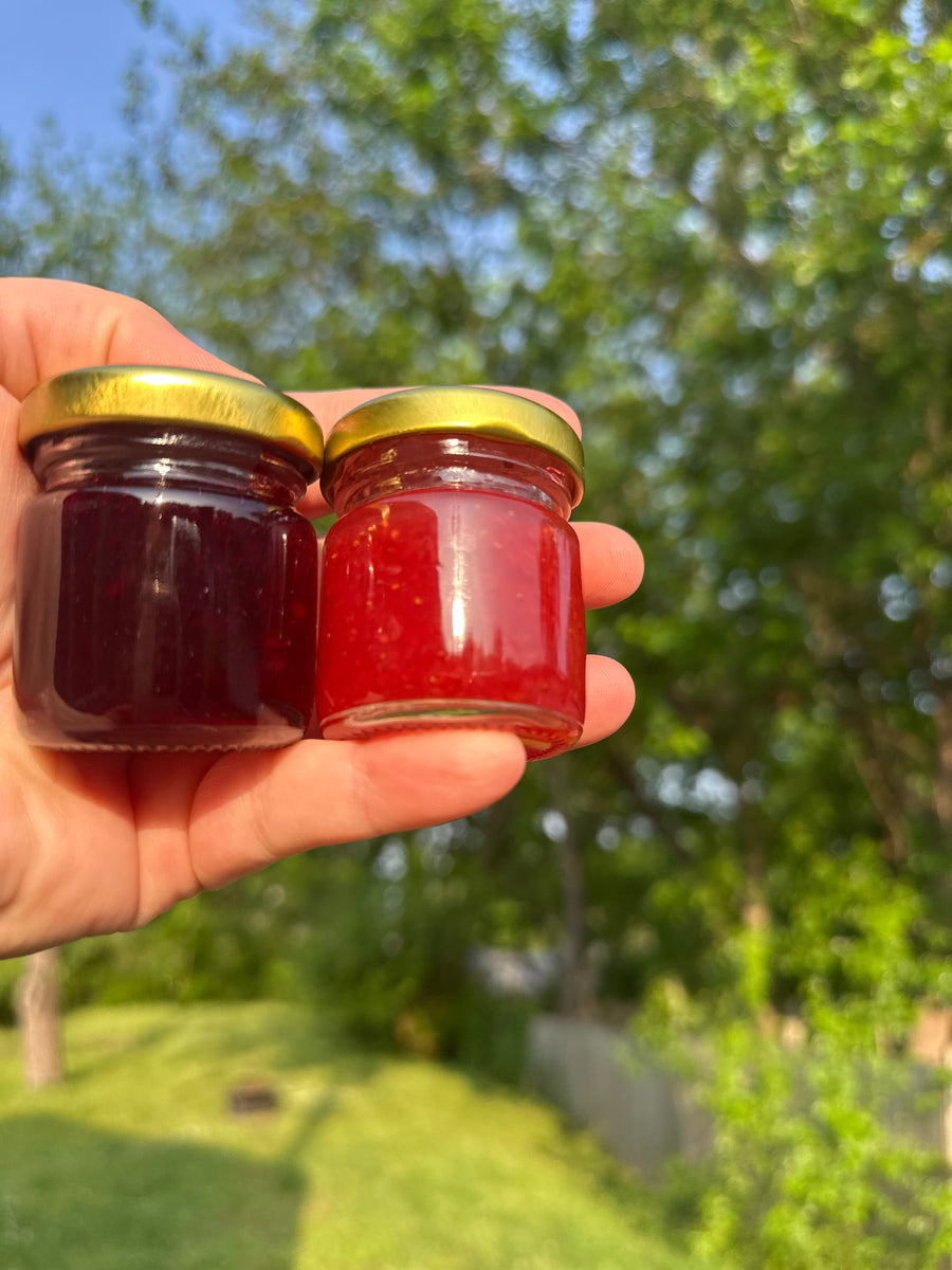 " Just a Dab" 1.5 oz jar Combo Pack – Let's Jam